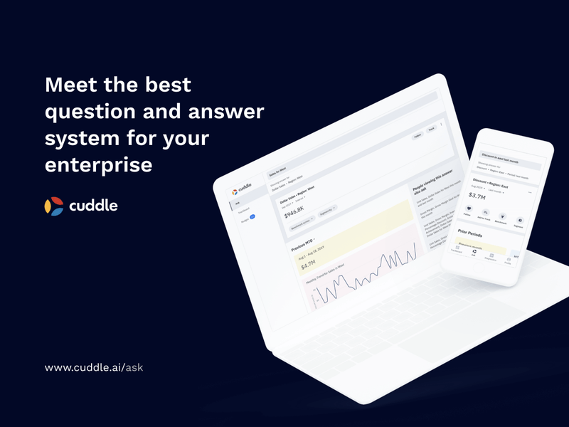 ASK by Cuddle.ai - Look Startup at Welldoneby