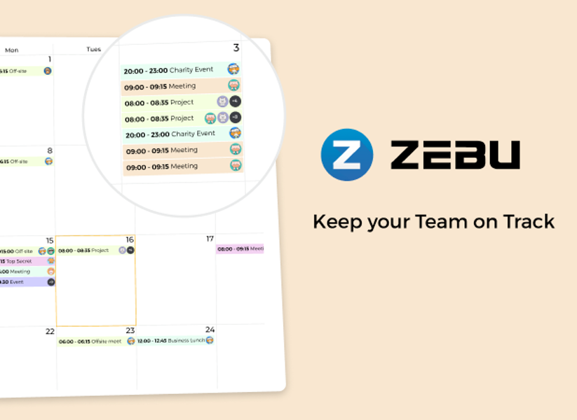 Zebu - Look Startup at Welldoneby